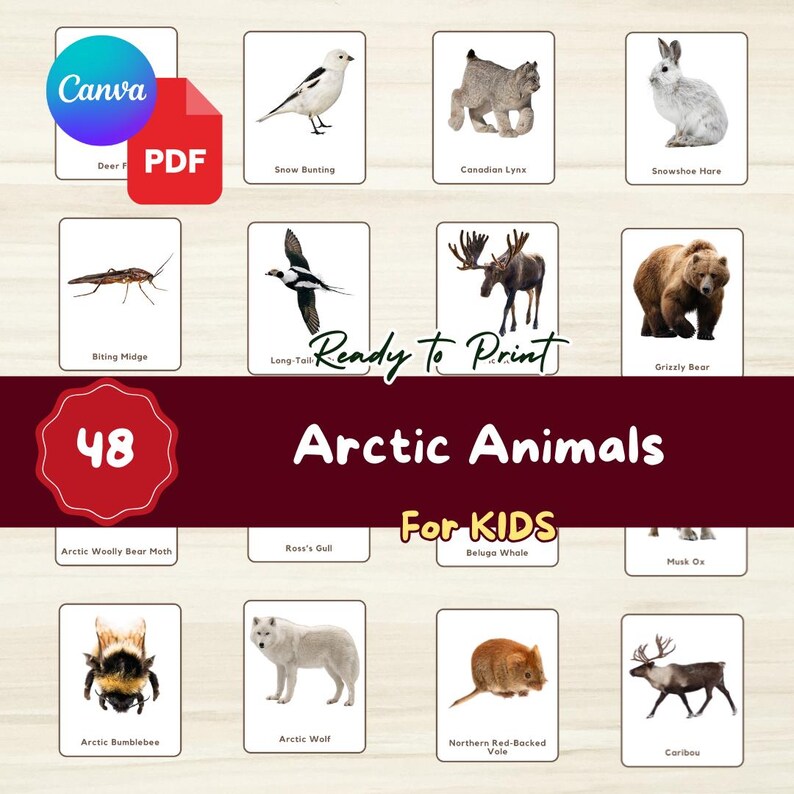 Arctic Animals Flashcards: Montessori 3-part Cards (printable PDF ...