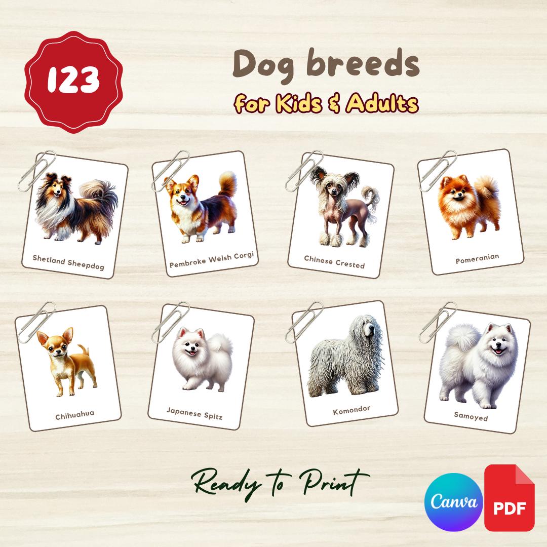 Watercolor Dog Breeds Flashcards: Montessori 3-part Cards (printable ...