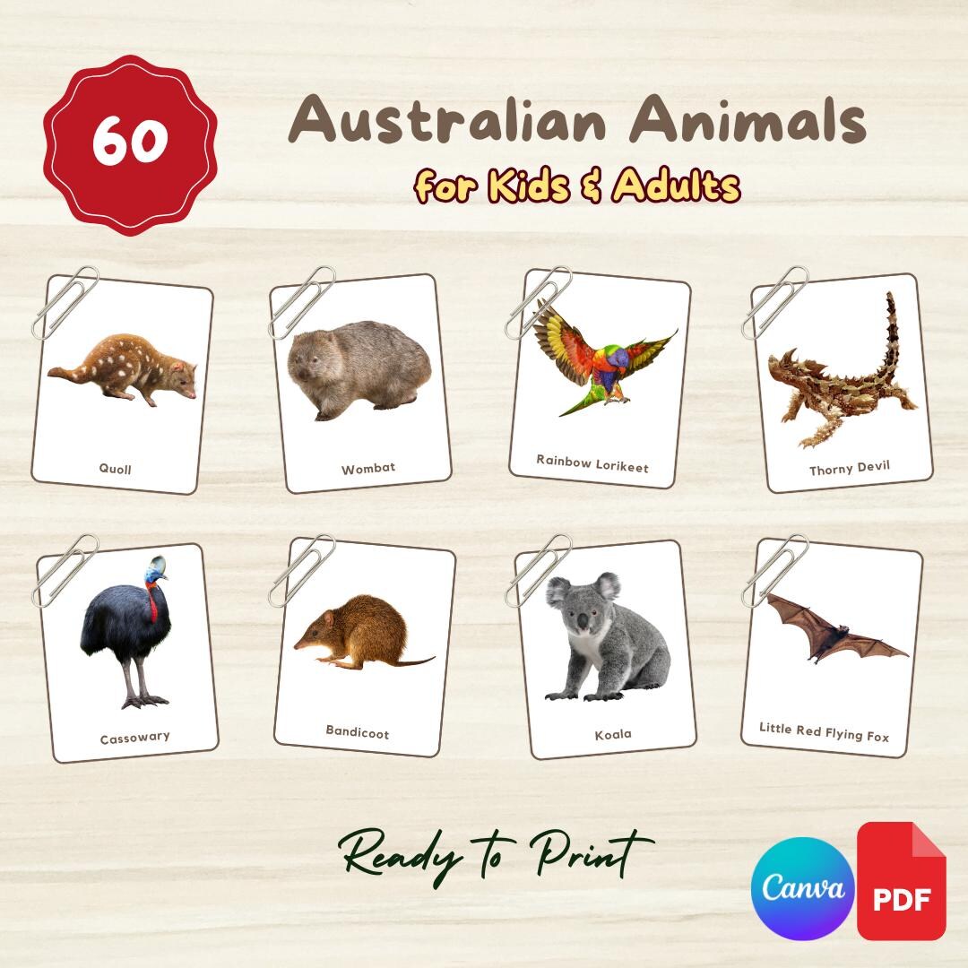 Australian Animals Flashcards: Montessori 3-part Cards (printable PDF ...
