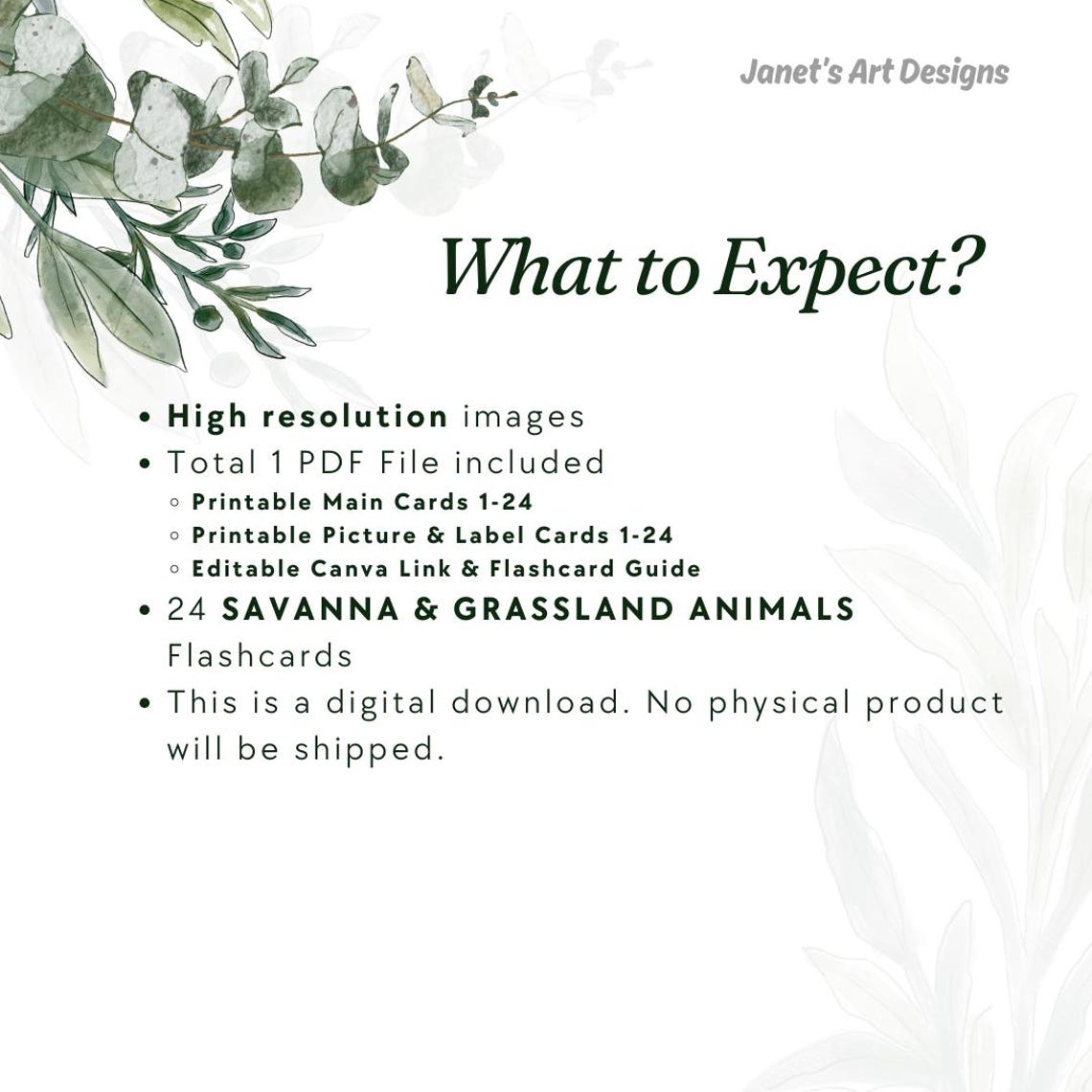 Watercolor Savanna Animals Flashcards: Montessori 3-part Cards ...