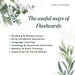 Chinese Fruits Flashcards: Montessori 3-part Cards With Pinyin ...