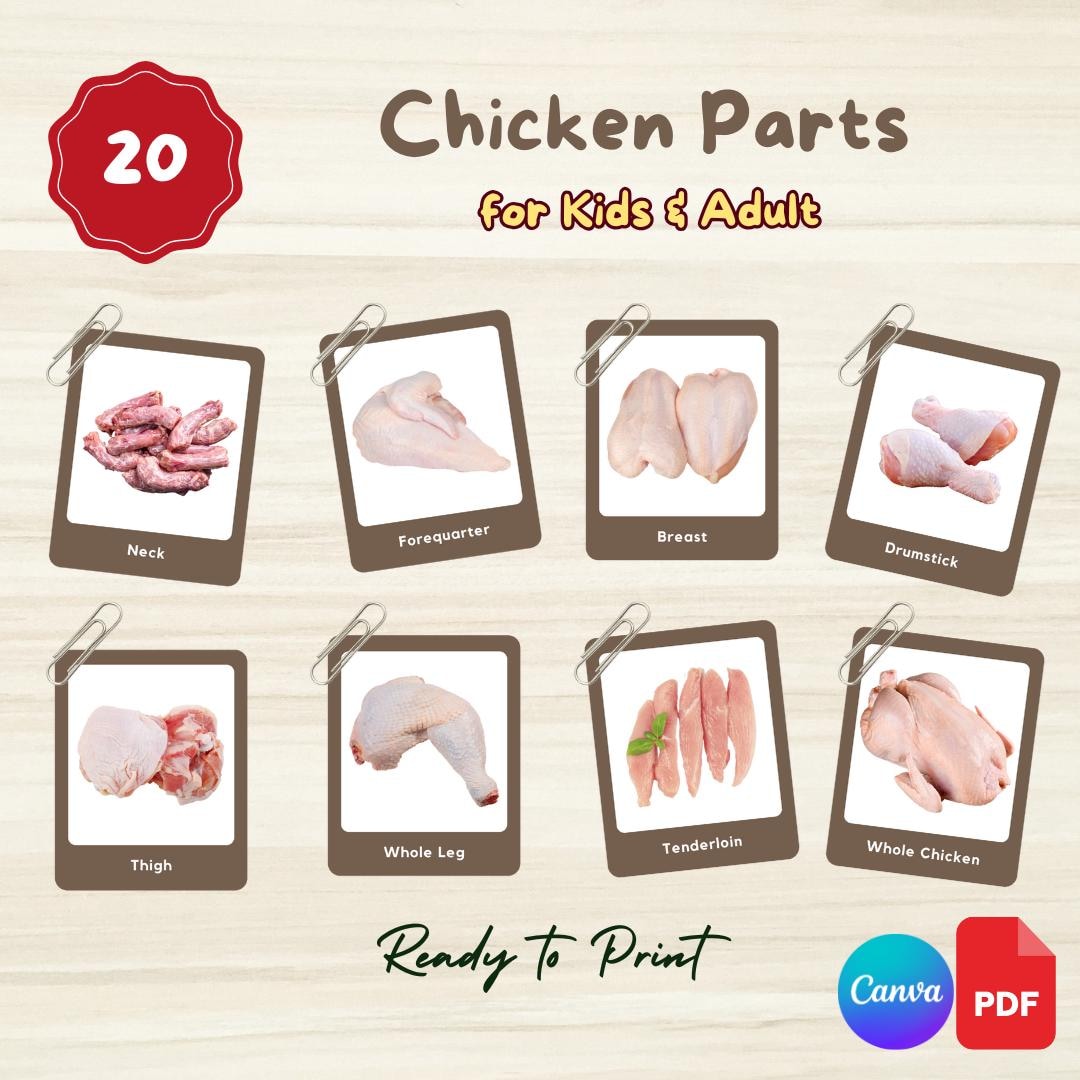 Chicken Parts Flashcards: Montessori 3-part Cards (printable PDF) - Etsy