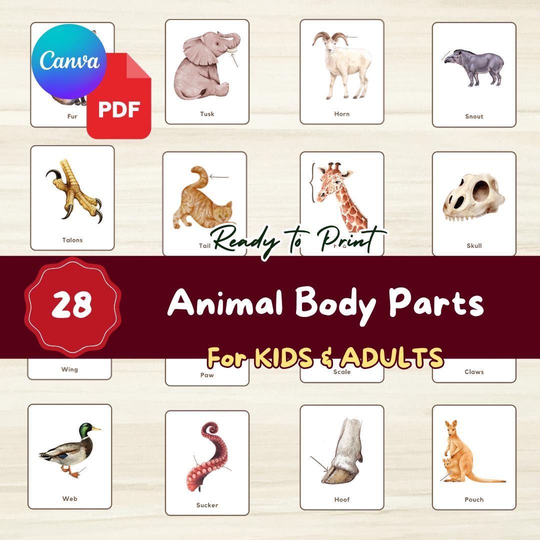 Animal Body Parts Flashcards: Montessori 3-part Cards (printable PDF ...