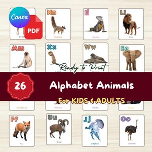 Alphabet Animals Flashcards: Montessori 3-part Cards (printable PDF ...