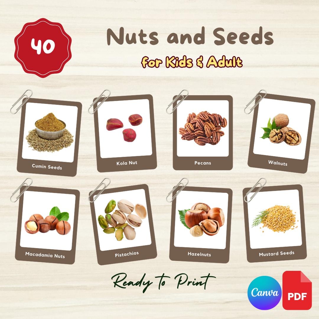 40 NUTS & SEEDS Flashcards | Editable Montessori 3-part Cards | Canva ...