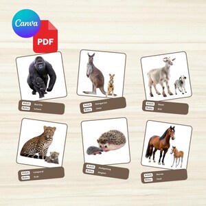 Animals and Their Babies Flashcards: Montessori 3-part Cards (printable ...