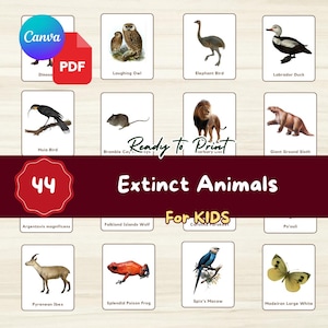 Extinct Animals Flashcards: Montessori 3-part Cards (printable PDF ...