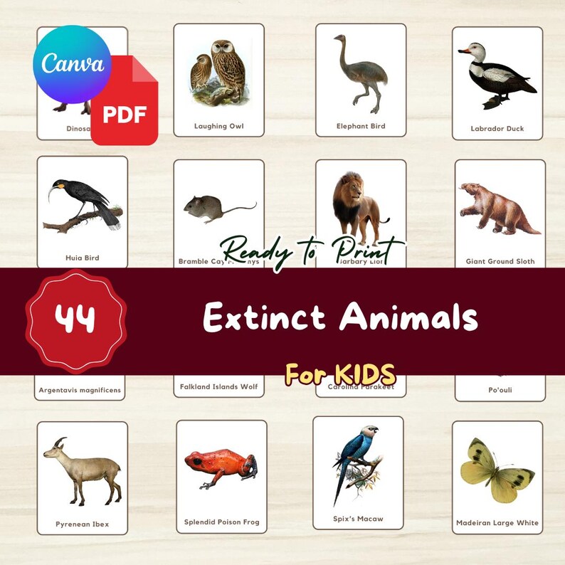 Extinct Animals Flashcards: Montessori 3-part Cards (printable PDF ...