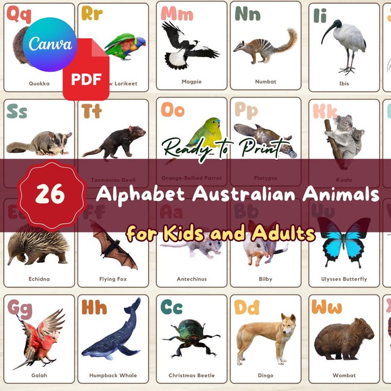 Australian Animals Alphabet Flashcards: Montessori 3-part Cards ...