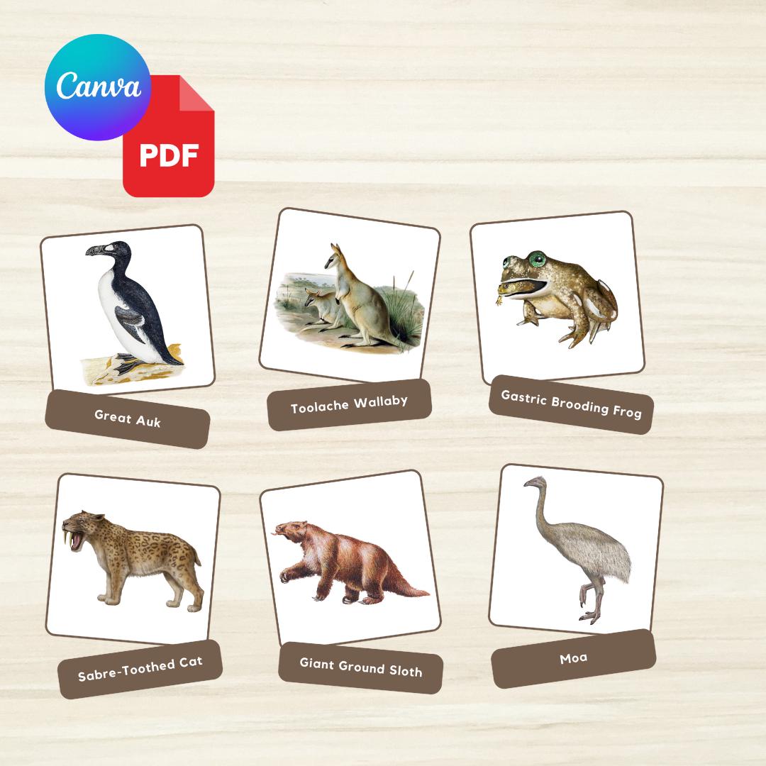 Extinct Animals Flashcards: Montessori 3-part Cards (printable PDF ...