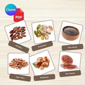 Nuts & Seeds Flashcards: Montessori 3-part Cards (printable PDF) - Etsy