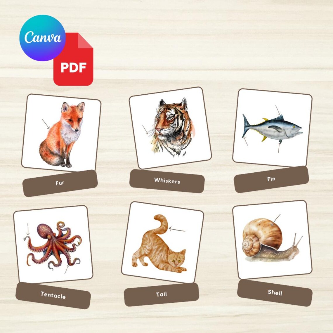 Animal Body Parts Flashcards: Montessori 3-part Cards (printable PDF ...