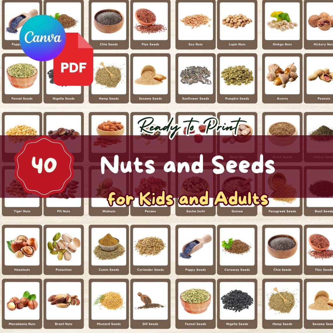Nuts & Seeds Flashcards: Montessori 3-part Cards (printable PDF) - Etsy