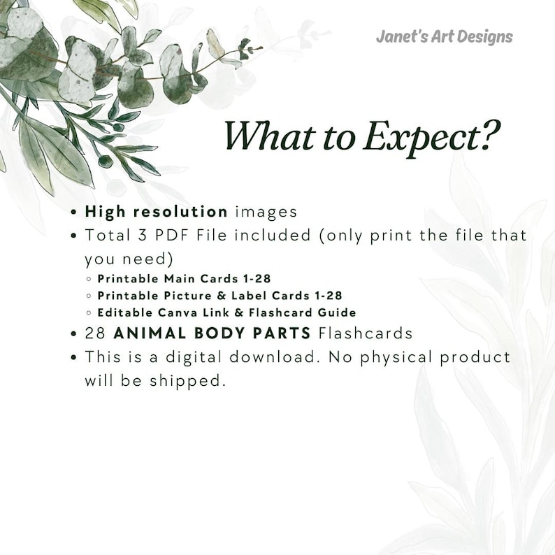 Animal Body Parts Flashcards: Montessori 3-part Cards (printable PDF ...