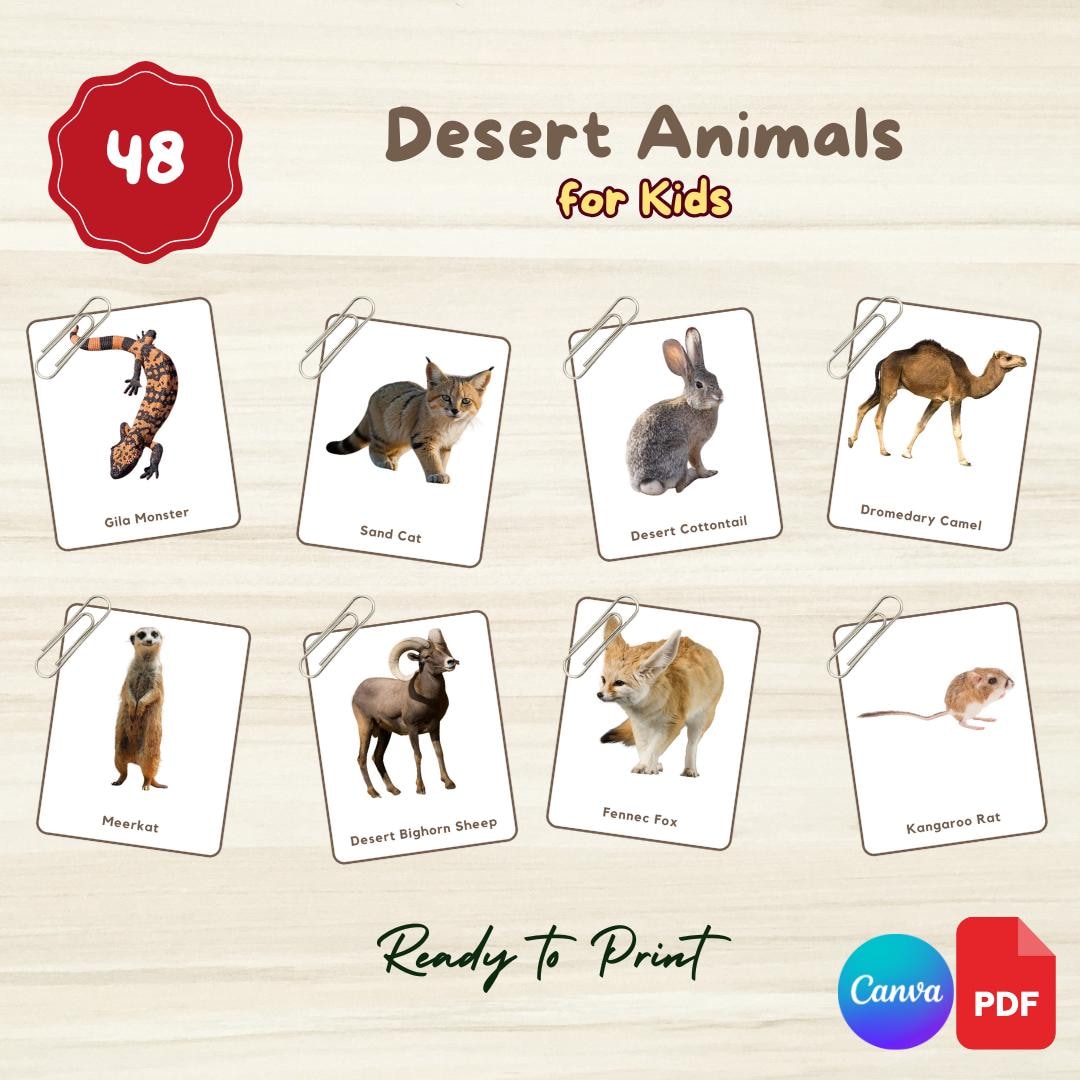 Desert Animals Flashcards: Montessori 3-part Cards, Printable PDF ...