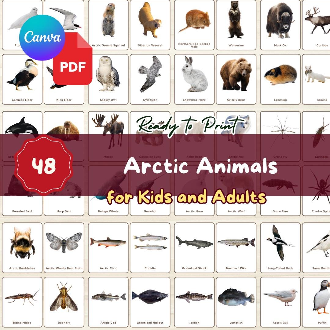 Arctic Animals Flashcards: Montessori 3-part Cards (printable PDF ...