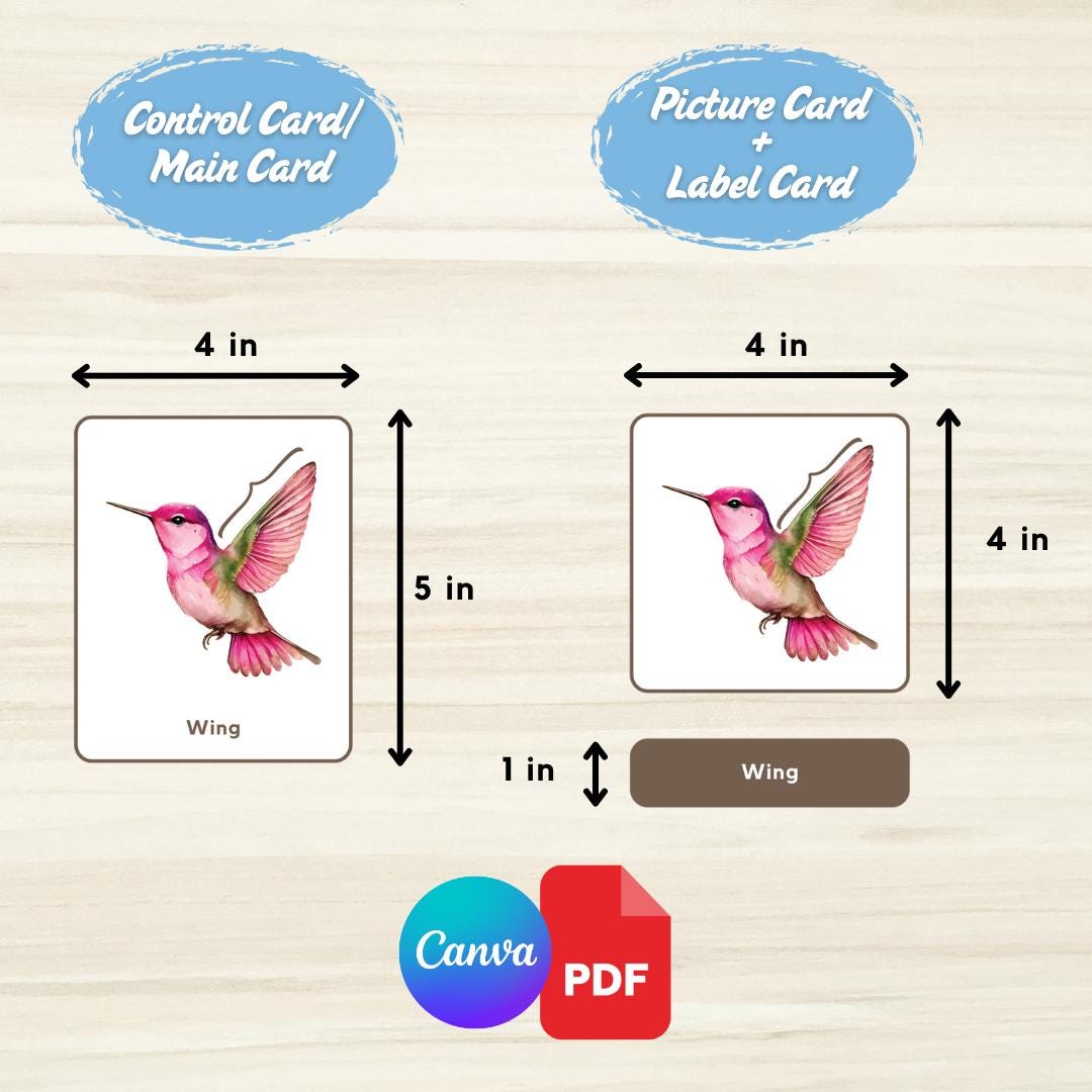 Animal Body Parts Flashcards: Montessori 3-part Cards (printable PDF ...