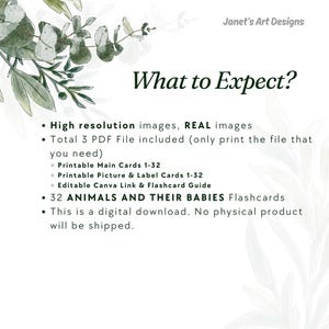 Animals and Their Babies Flashcards: Montessori 3-part Cards (printable ...