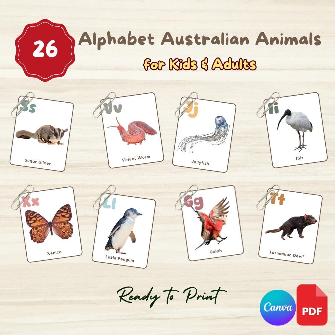 Australian Animals Alphabet Flashcards: Montessori 3-part Cards ...