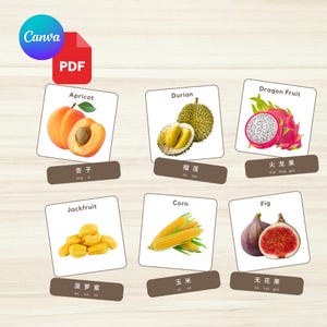 Chinese Fruits Flashcards: Montessori 3-part Cards With Pinyin ...