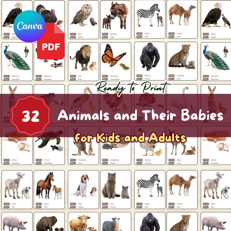 Animals and Their Babies Flashcards: Montessori 3-part Cards (printable ...