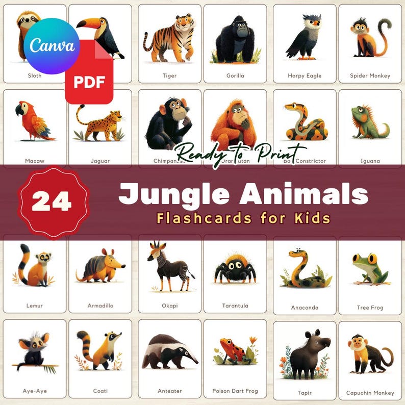 Tarjetas didácticas de animales de la selva en acuarela: Montessori (3 ...