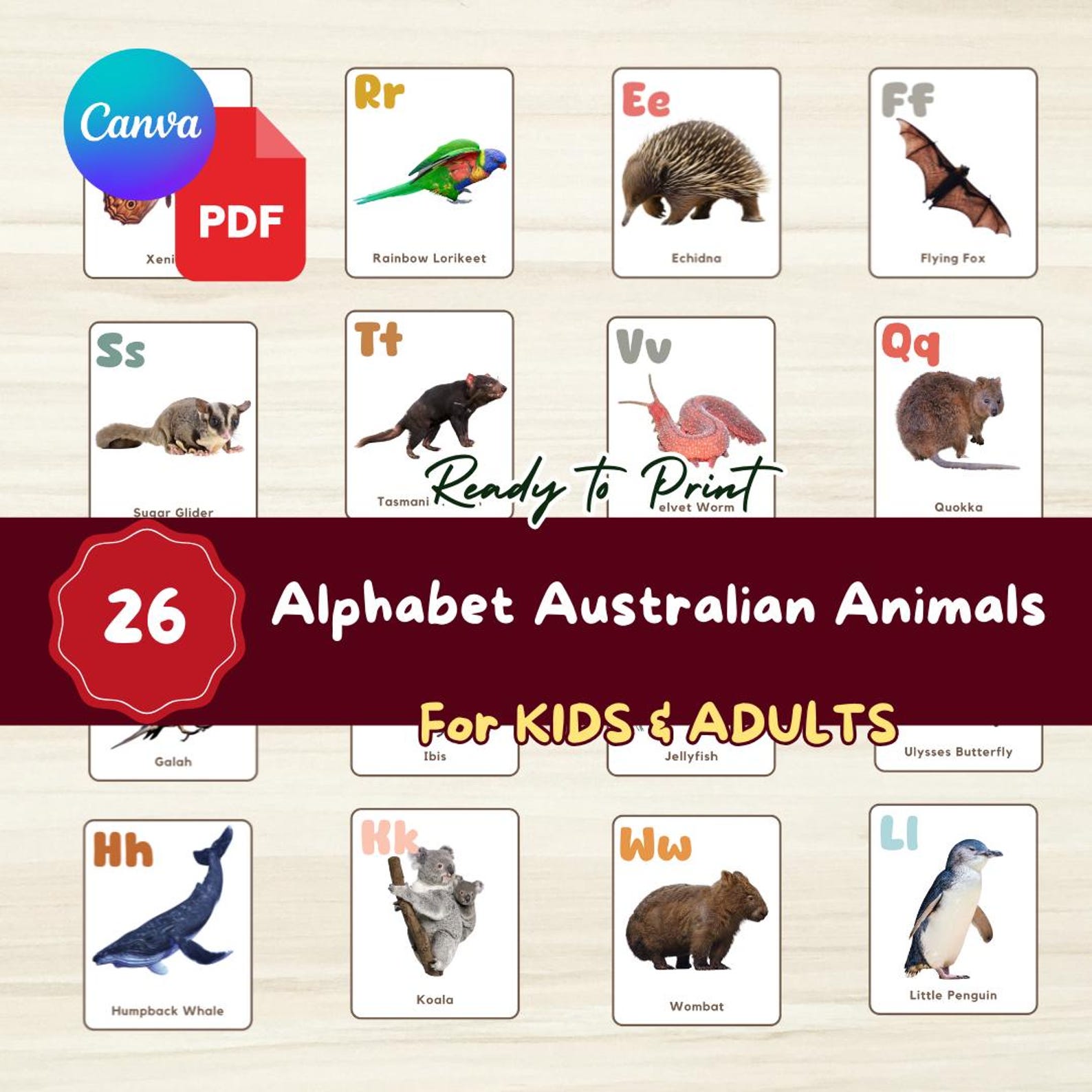Australian Animals Alphabet Flashcards: Montessori 3-part Cards ...