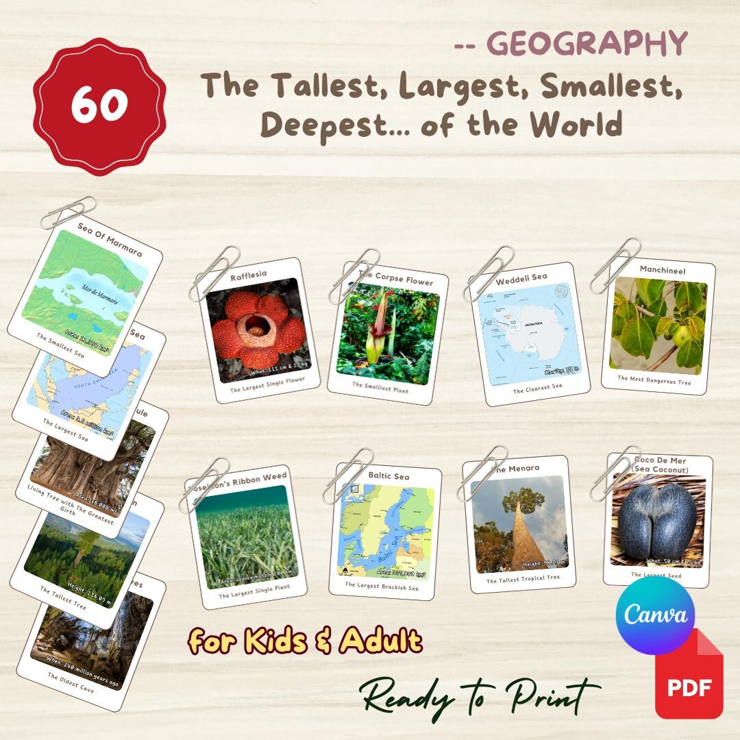 60 TALLEST, LARGEST, Smallest...of the World Flashcards | Superlatives ...