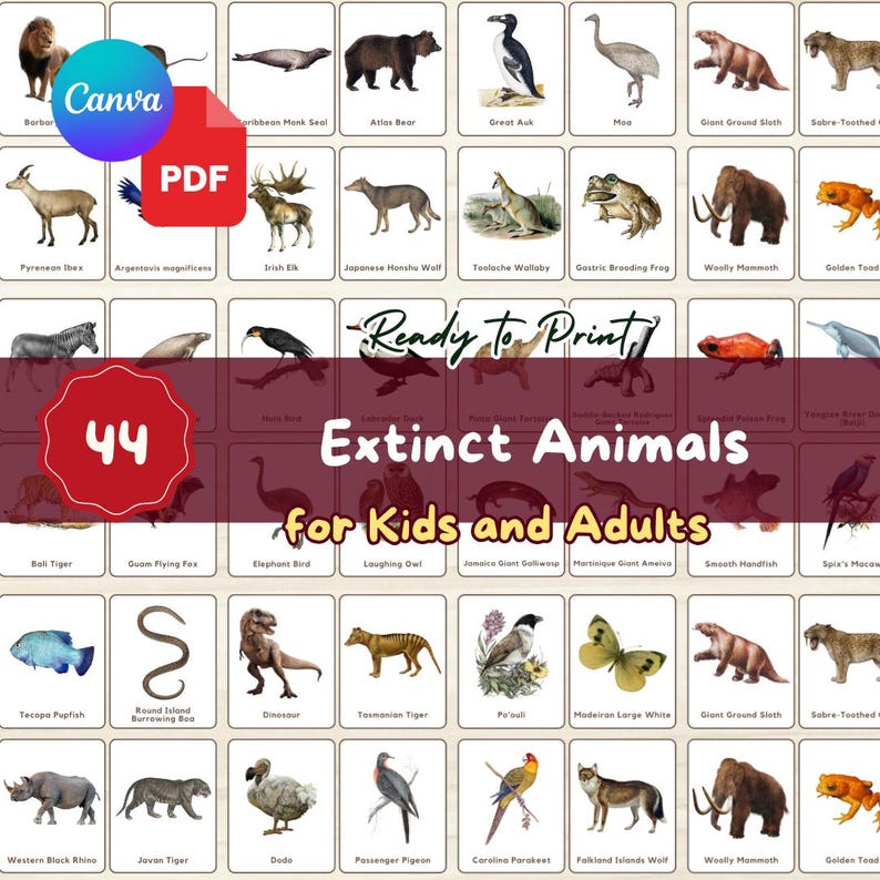 44 EXTINCT ANIMALS Flashcards | Vocabularies for Kids | Editable ...