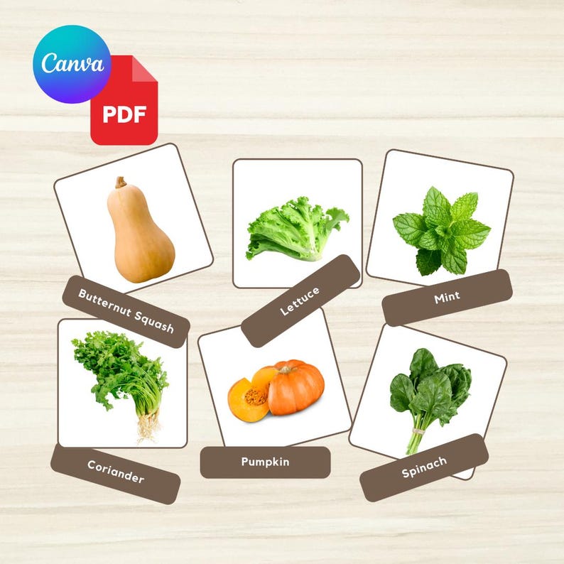 Vegetables Flashcards: Montessori 3-part Cards (printable PDF + Canva ...