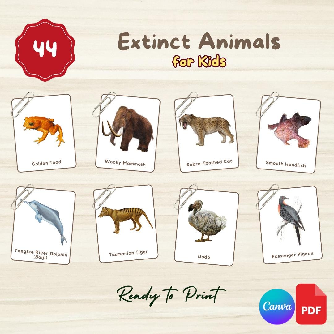 44 EXTINCT ANIMALS Flashcards | Vocabularies for Kids | Editable ...