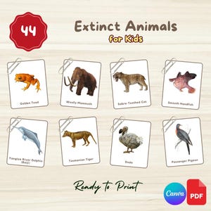 Extinct Animals Flashcards: Montessori 3-part Cards (printable PDF ...