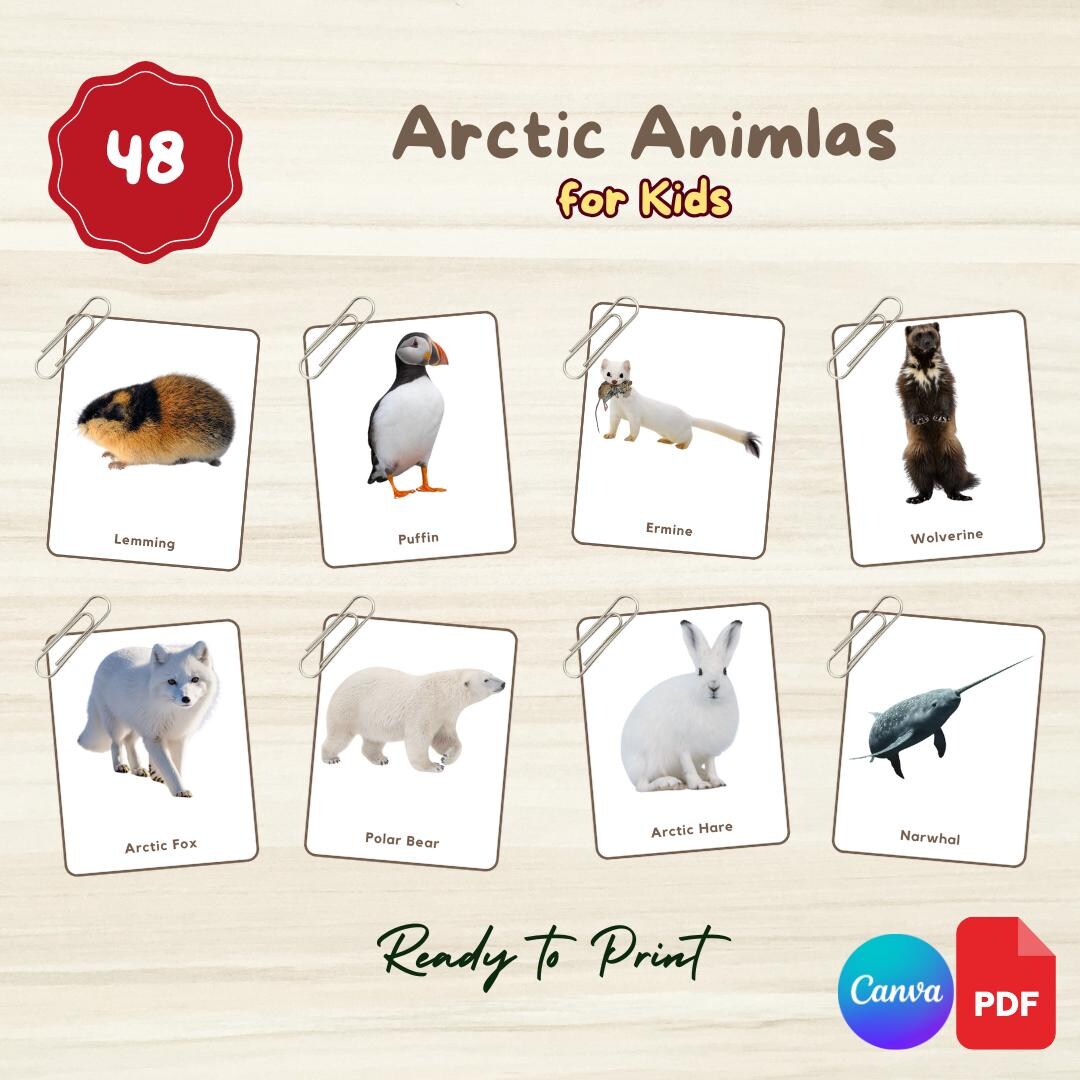 Arctic Animals Flashcards: Montessori 3-part Cards (printable PDF ...