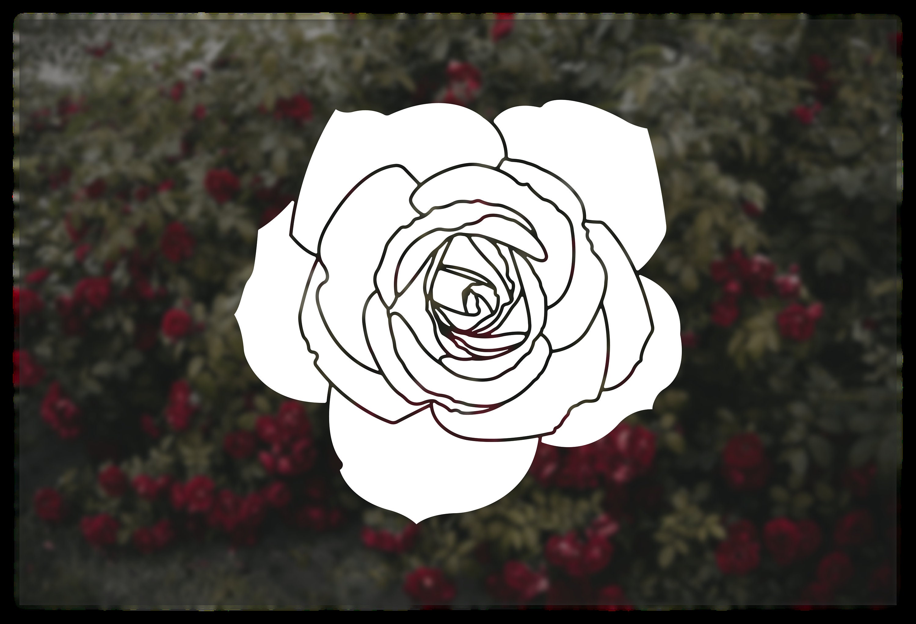 Rose Decal Sticker | Detailed Flower Decal | Multiple Vinyl Color ...