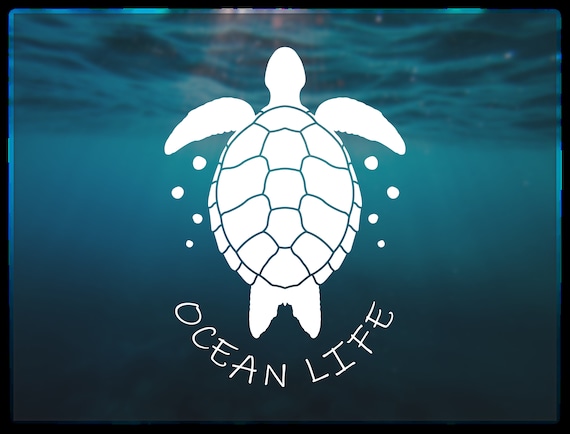 Sea Turtle Decal Sticker Ocean Life Decal Multiple Vinyl - Etsy