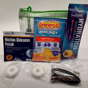 Elsa's Mini Cruise Essential Kit - Travel Items for Your Next Cruise ...