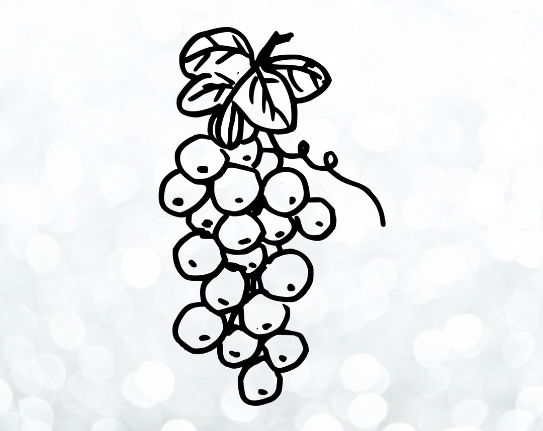 Grape Svg & Png, Hand Drawing, Instant Digital Download for Cricut - Etsy