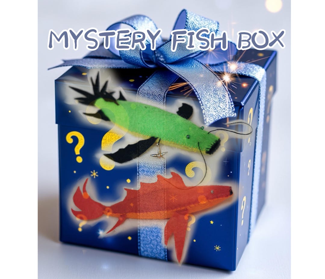 Mystery Box Fish Handsewn - Etsy