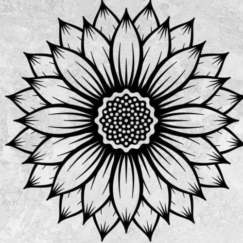 Half Sunflower Split Clipart SVG Layered File Download - Etsy