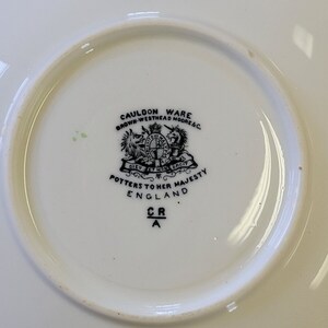Rare Antique Cauldon Ware Brown-westhead Moore & Co. Teacup Saucer - Etsy