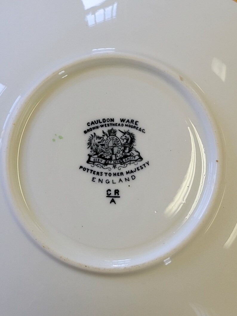 Rare Antique Cauldon Ware Brown-westhead Moore & Co. Teacup Saucer - Etsy