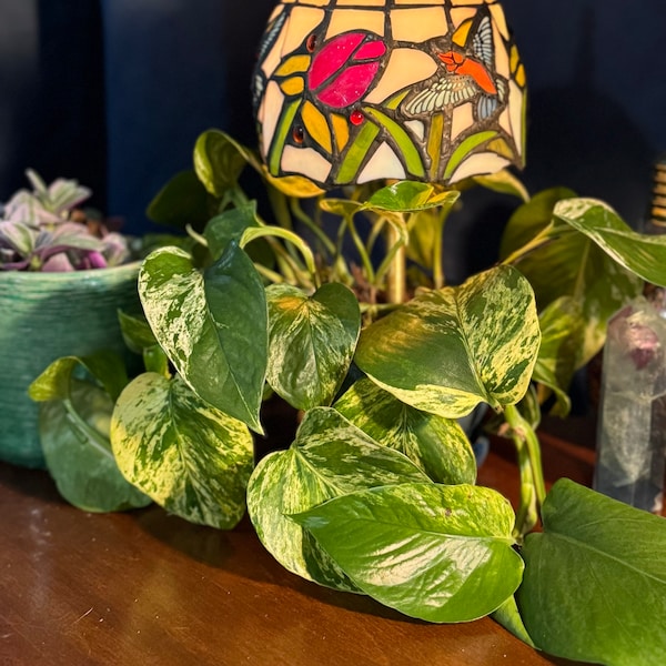 Stained Glass Planters - Etsy