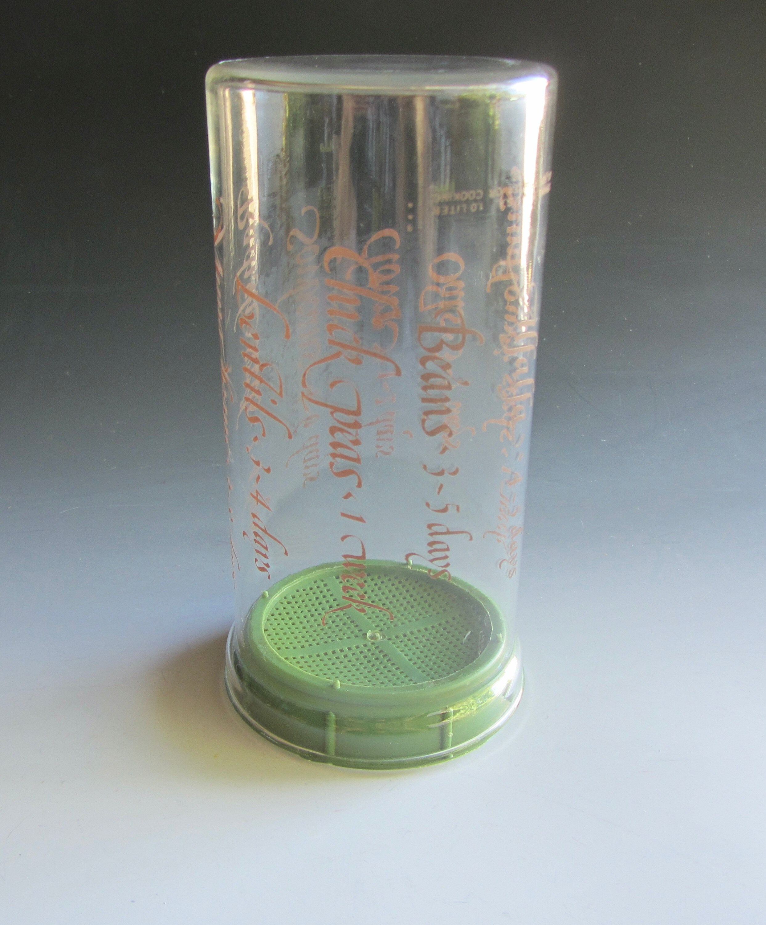 The Sprout Farm sprouter by Corning - Etsy