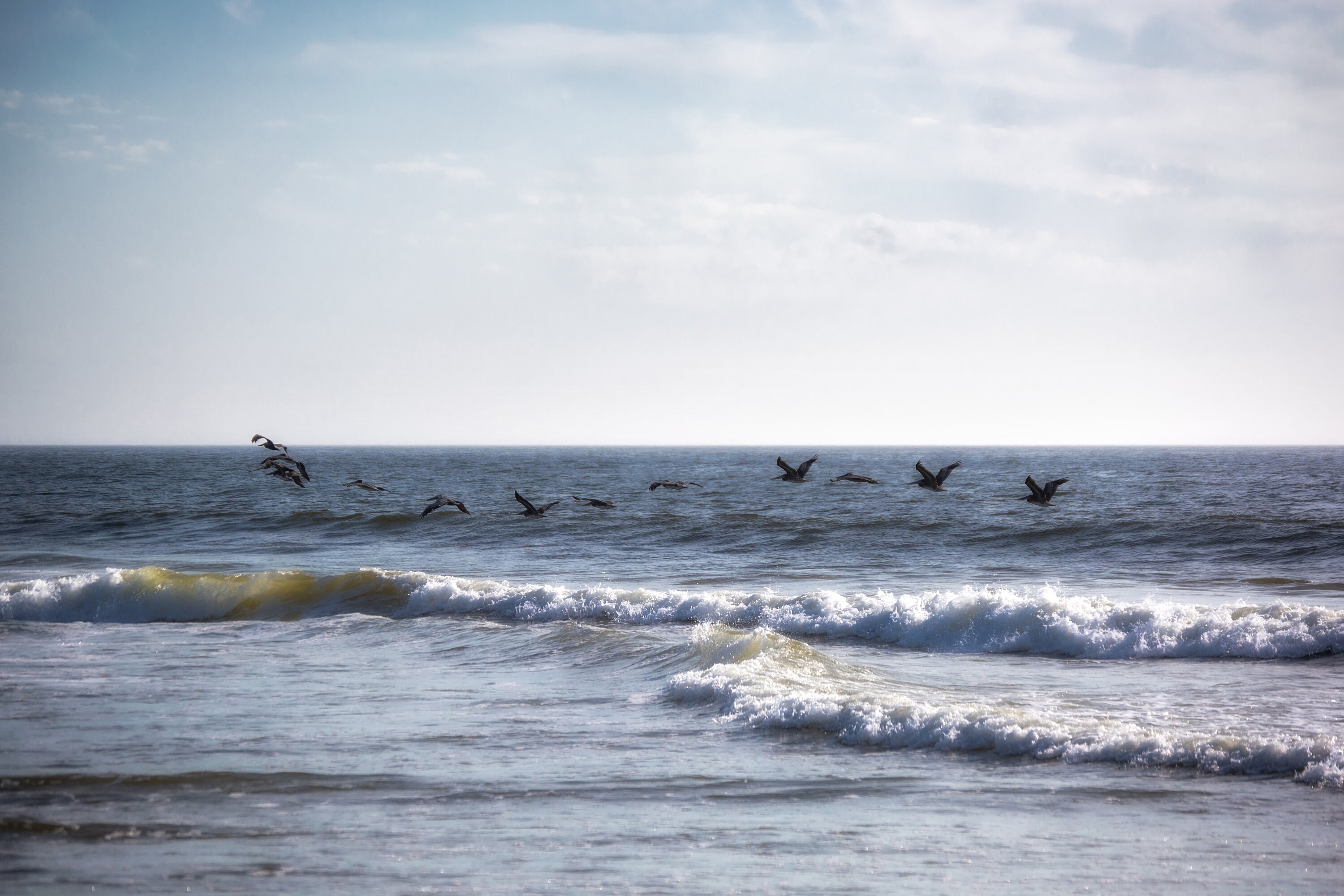 Pelicans Flying Over the Ocean Photo, Birds Over Ocean Photo Print ...