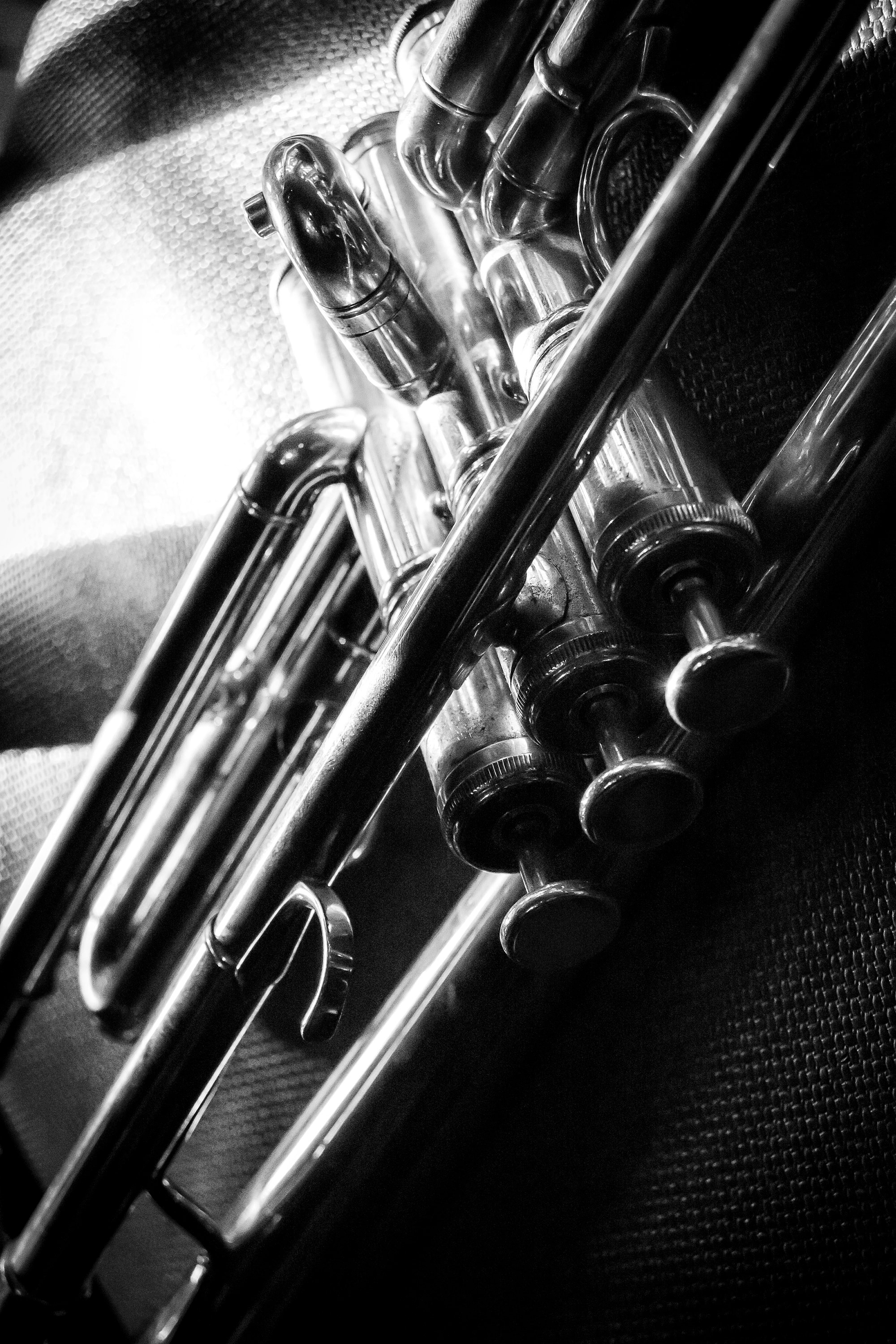 Trumpet Black And White Photography