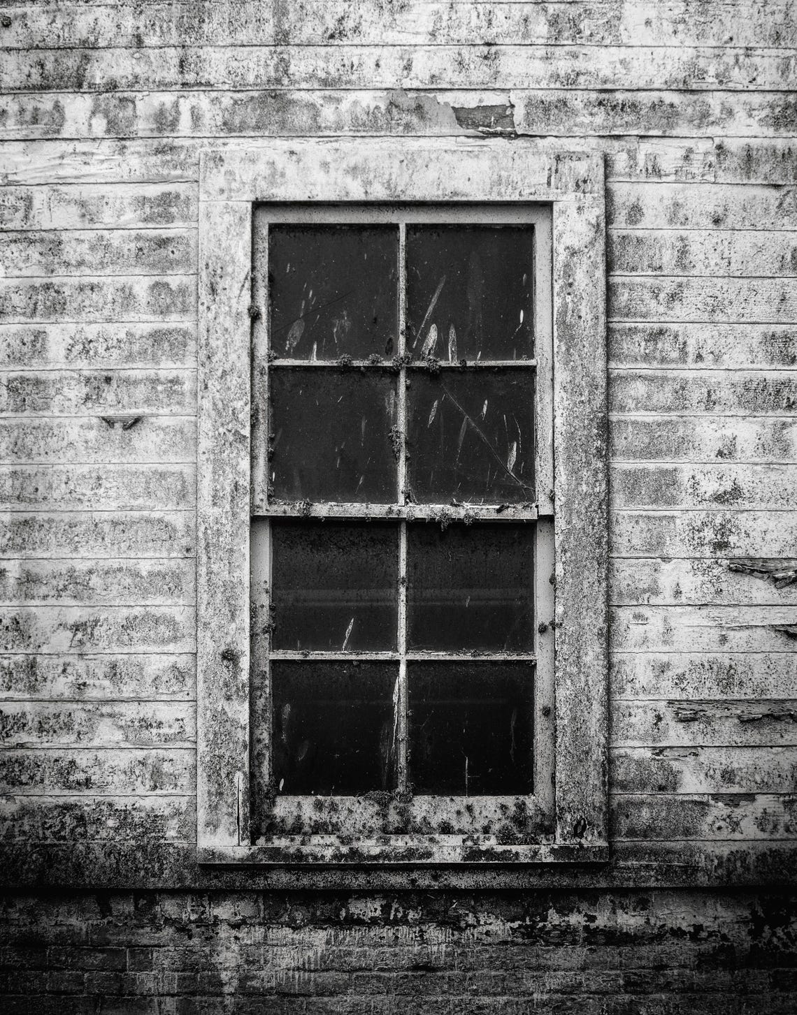 Buena Vista Black and White Brick Window Photo Print, Gray Black and ...