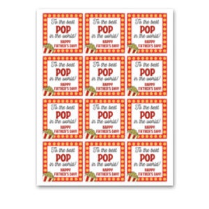 INSTANT DOWNLOAD to the Best Pop in the World Happy Father's Day Square ...