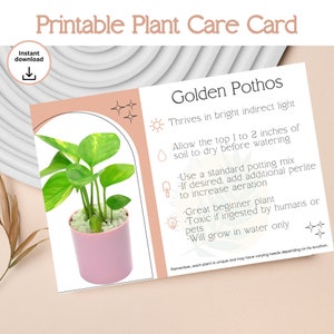 Golden Pothos Care Guide - Printable Indoor Plant Care Instructions ...
