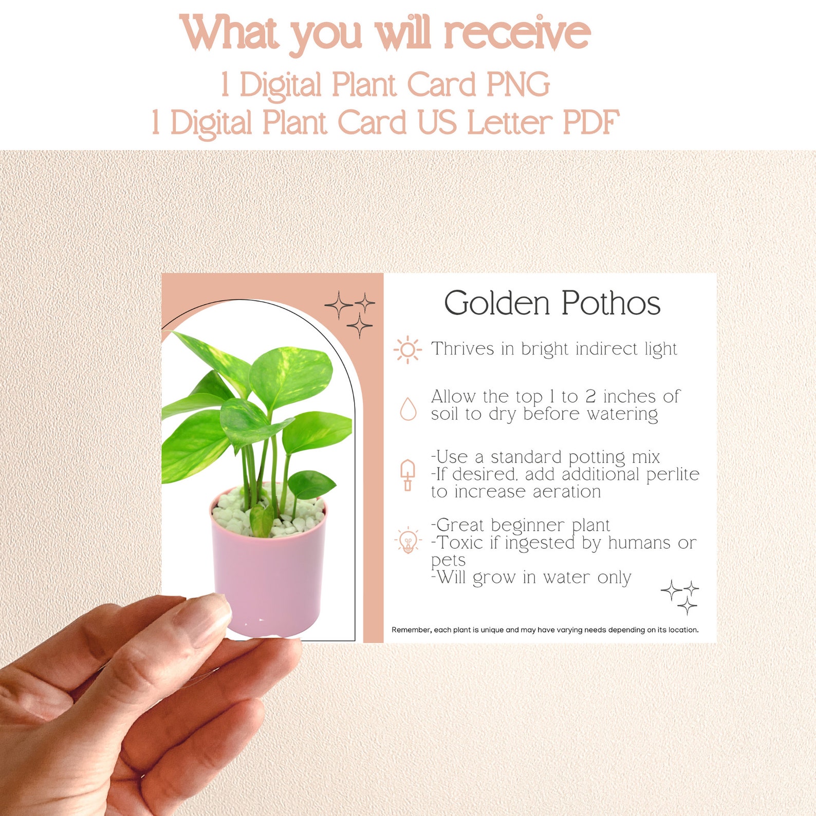 Golden Pothos Care Guide Printable Indoor Plant Care Instructions ...