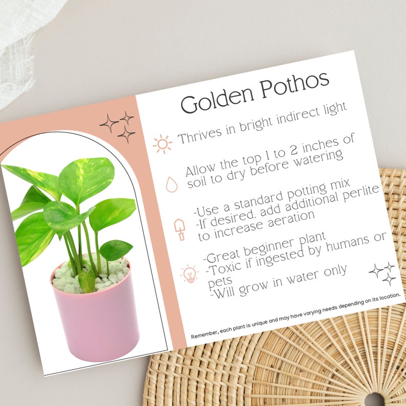 Golden Pothos Care Guide Printable Indoor Plant Care Instructions ...